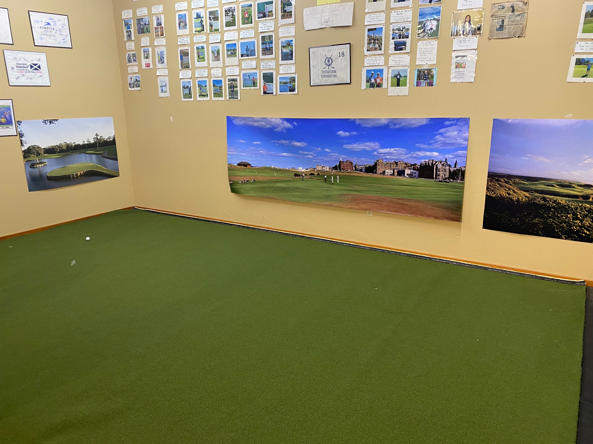 Dragon Golf Instruction > Home